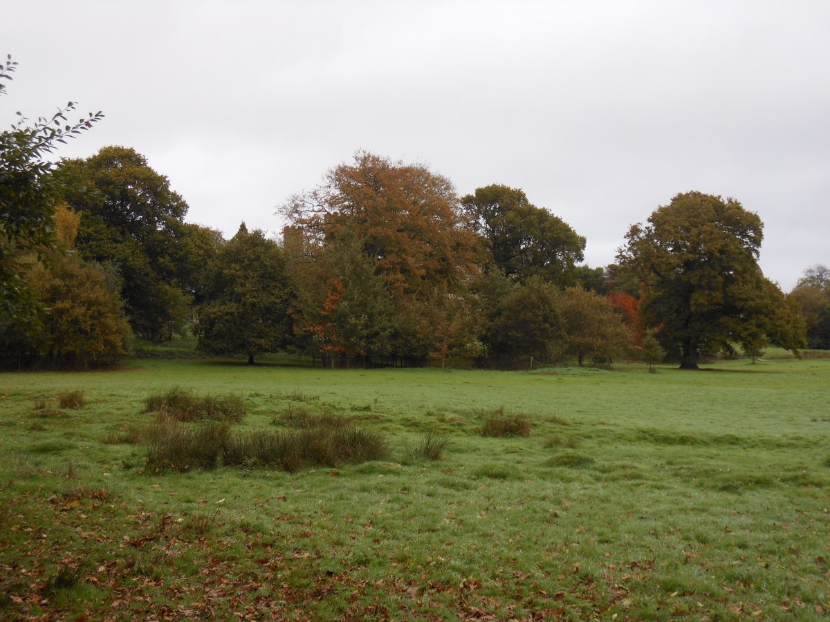 Gytha of Wessex and the Fall of the House of Godwin – History… the ...