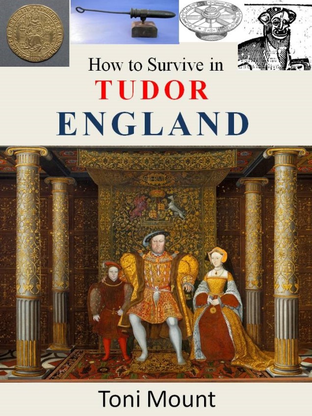 Tudor History – History… the interesting bits!